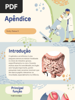 Anatomia e Funções do Apêndice Vermiforme | PDF | Doenças e distúrbios ...