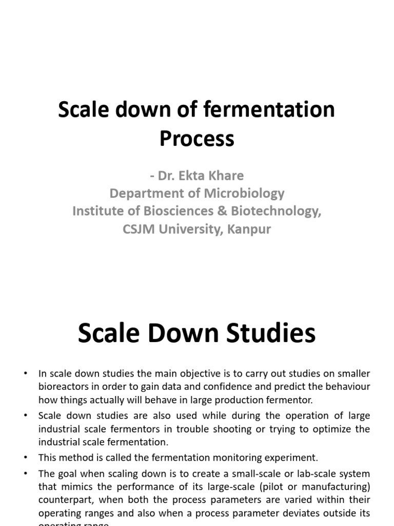 Scale Down of Fermentation Process | PDF | Fermentation | Sterilization ...