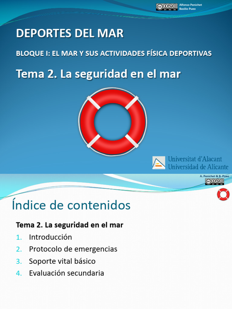 Tema 2 La seguridad en el mar | PDF | Herida | Reanimación cardiopulmonar