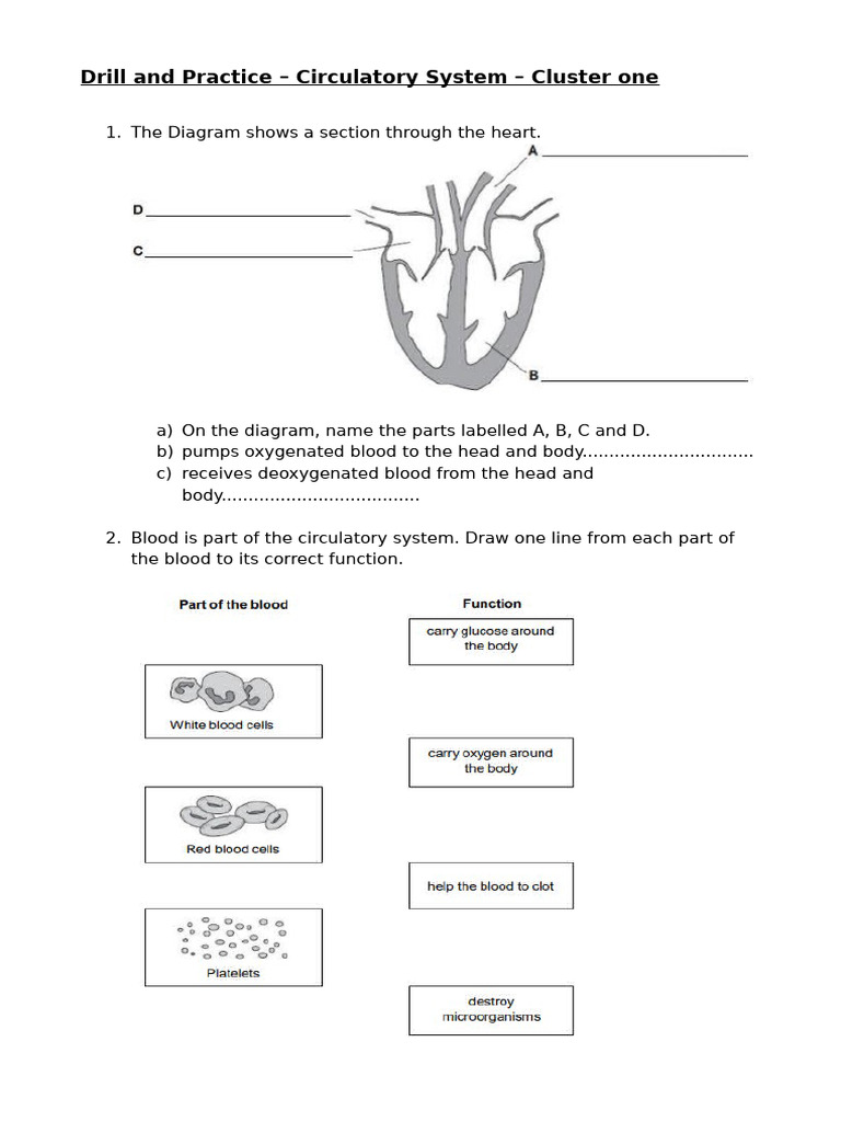 DrillPractice Cluster1 | PDF