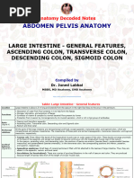 Sigmoid Colon Length and Anatomy | PDF | Large Intestine | Rectum