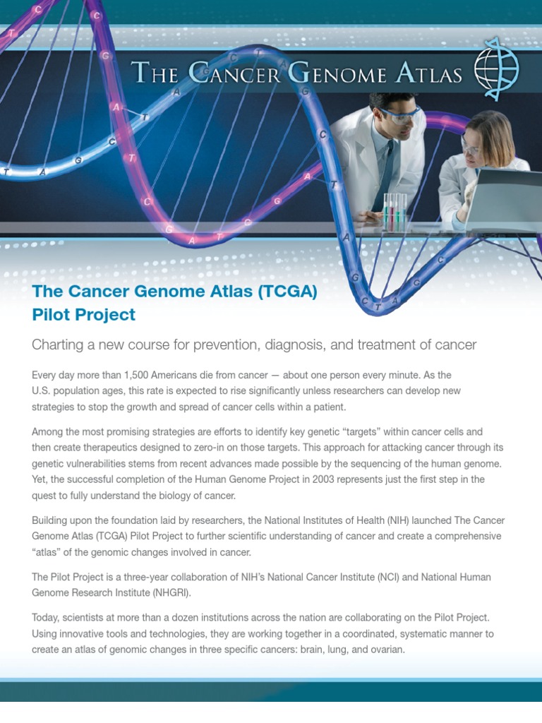 TC Ga Brochure | PDF | Cancer | Whole Genome Sequencing