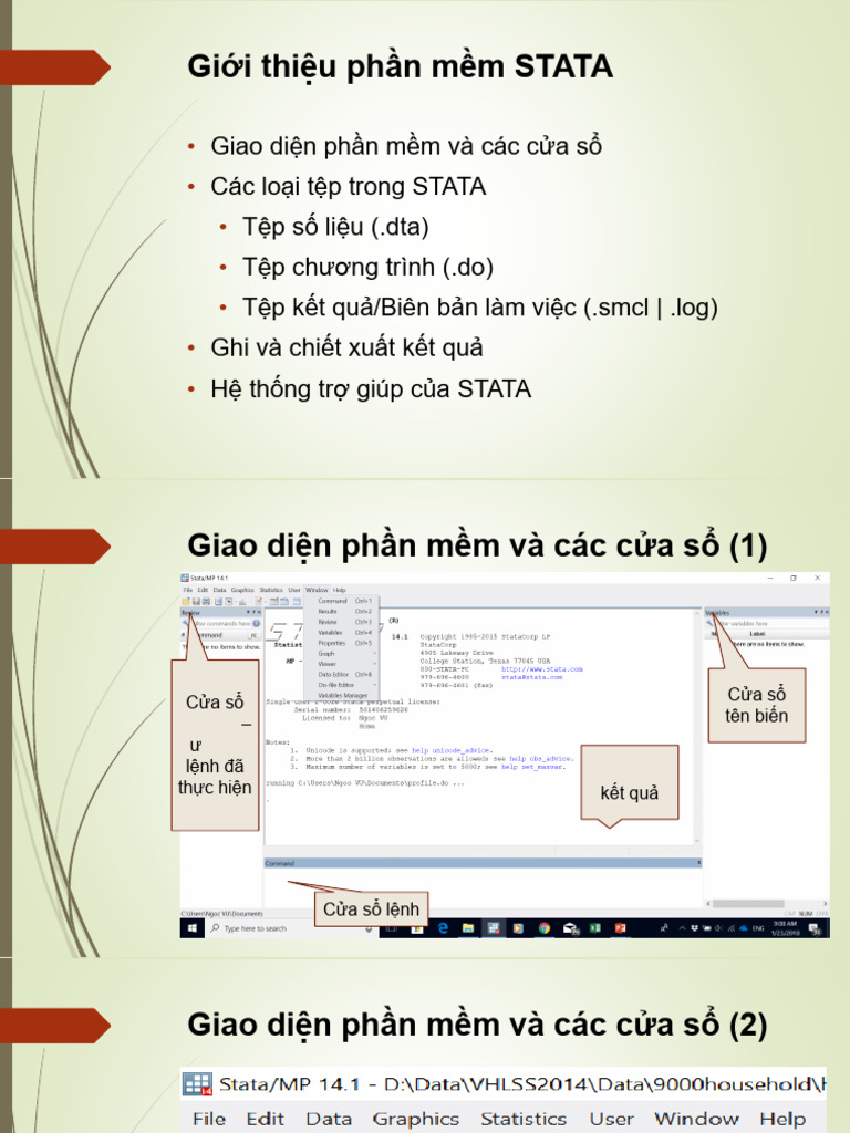 Stata Guide | PDF