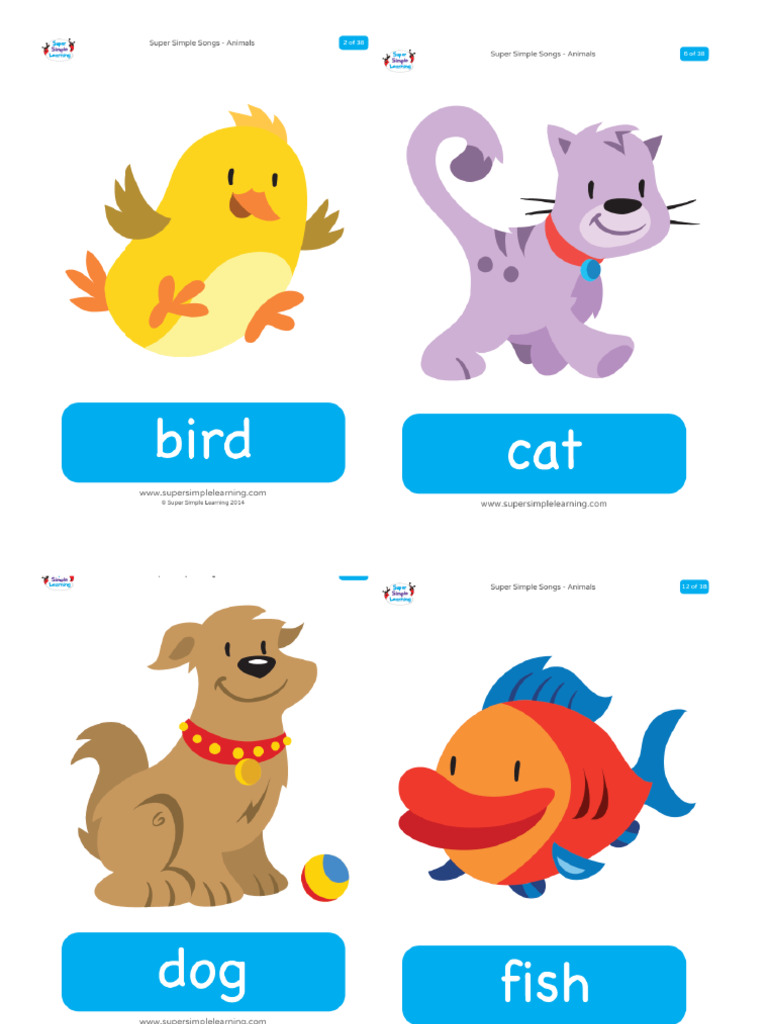 Flashcards Pets | PDF