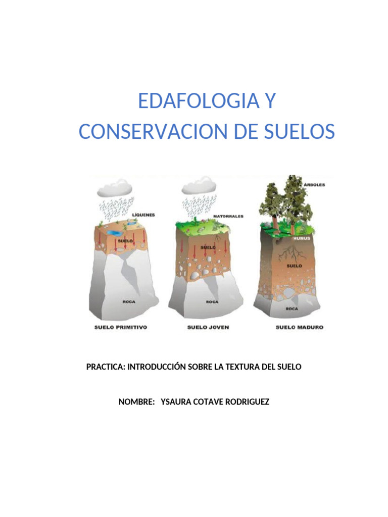 Clases de Suelos y Sus Nombres Texturales | PDF