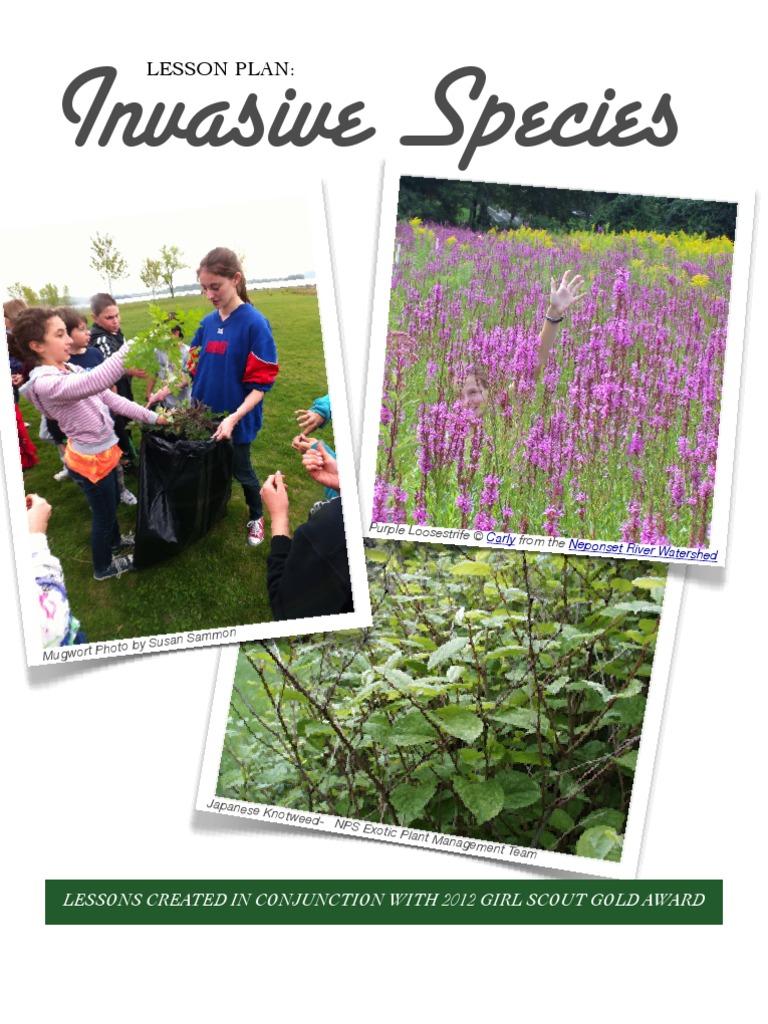 Lesson Plan: Invasive Species | PDF | Qr Code | Invasive Species