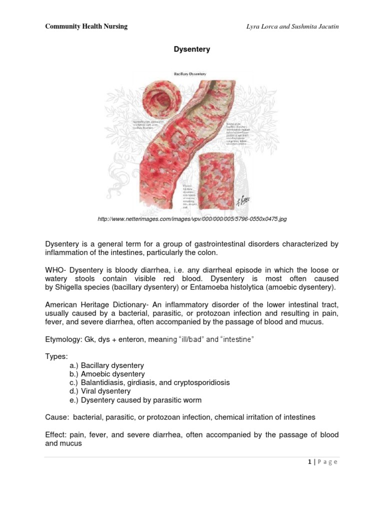 Dysentery | Diarrhea | Microbiology