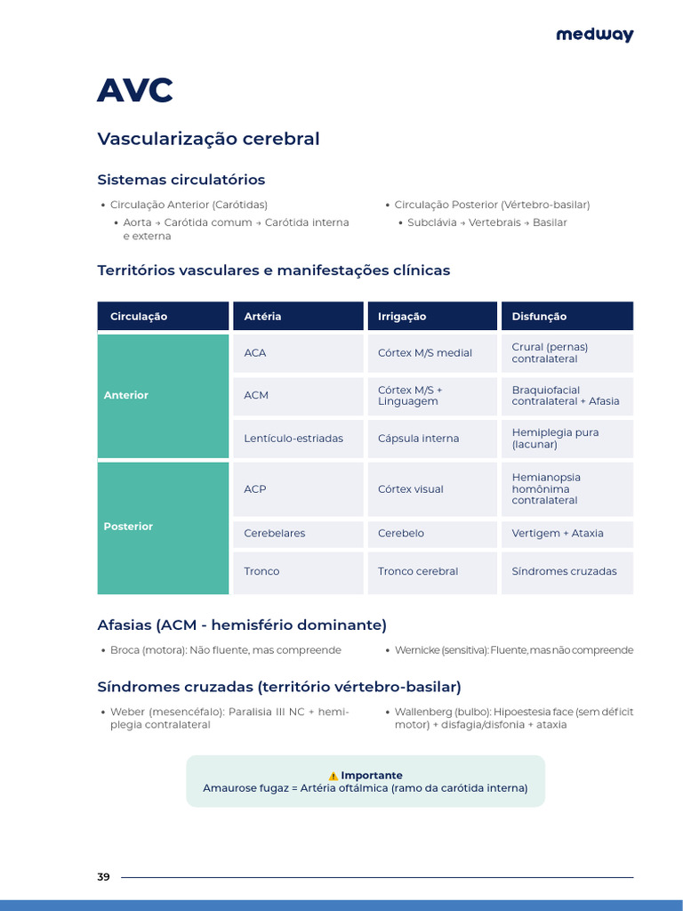Avc 2 | PDF | AVC | Córtex cerebral