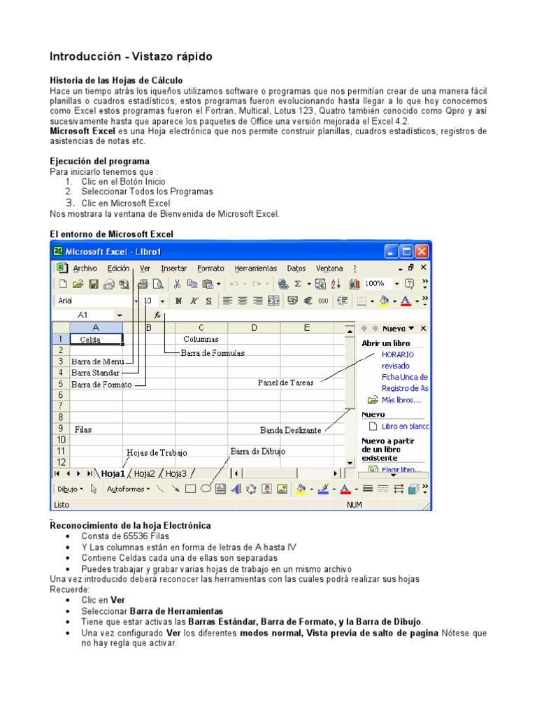 Manual de Excel | PDF