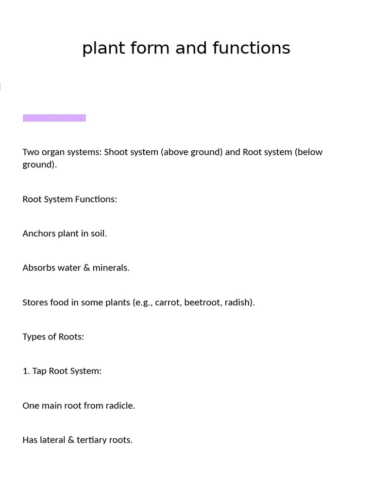 Plant Form and Functions | PDF