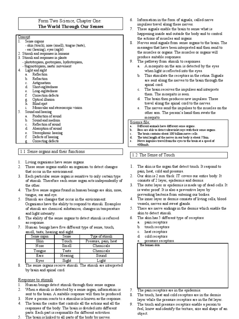The World Through Our Senses: Form Two Science, Chapter One | PDF ...