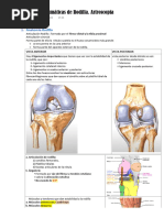 Maniobras de Bostezo en la Rodilla | PDF | Rodilla | Anatomía del ...