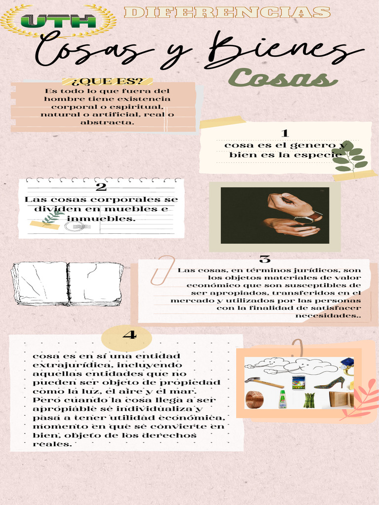 Infografía Diferencias de Cosas y Bienes | PDF | Propiedad