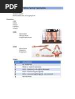 Eliciting Deep Tendon Reflexes Guide | PDF | Knee | Anatomical Terms Of ...
