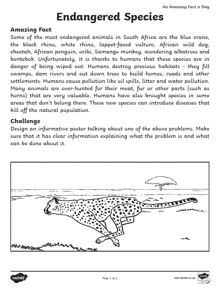 Endangerent Animals Activity Sheets | PDF