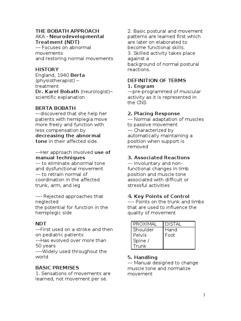 The Bobath Lecture | PDF | Anatomical Terms Of Motion | Musculoskeletal System