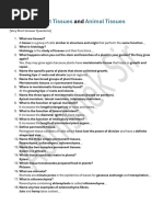 Life Sciences Grade 10 Plant Tissues Notes | PDF | Tissue (Biology) | Root