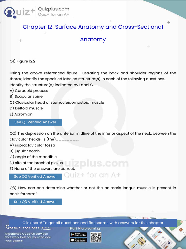 Identify The Structures Indicated by Label C | PDF | Vein | Nervous System