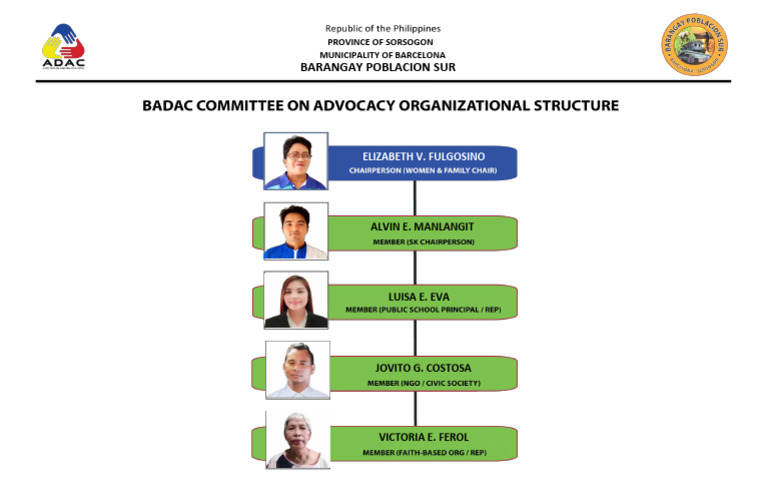 BADAC Committee On Advocacy Organizational Structure | PDF