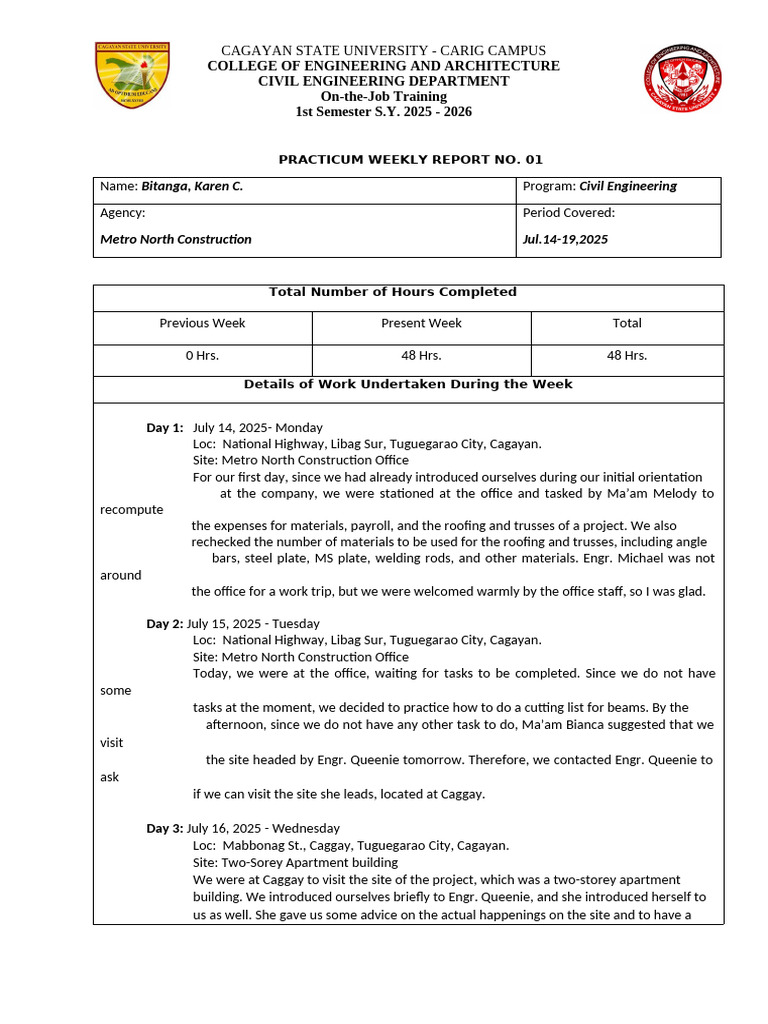 Practicum Weekly Report | PDF | Building Engineering