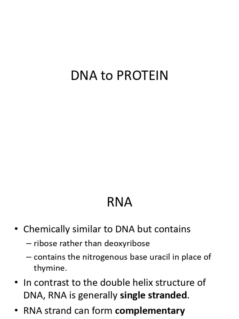 Med Bio 7 Dna To Protein | PDF