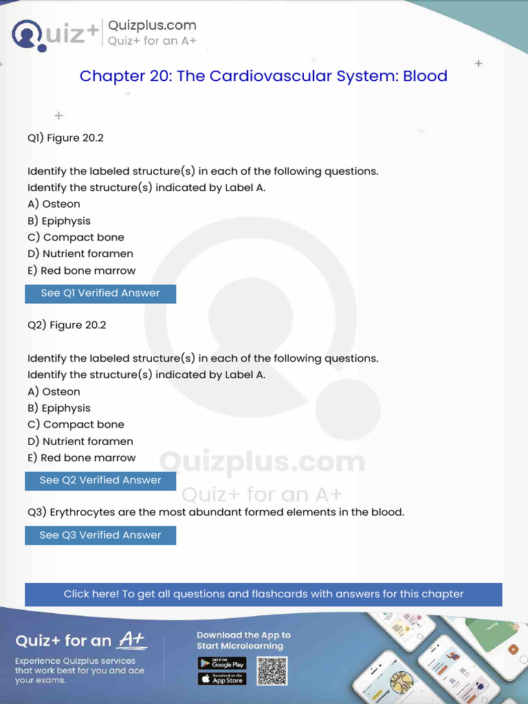 Identify The Structures Indicated by Label A | PDF