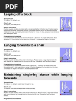 DEMMI Handbook | PDF | Foot | Chair