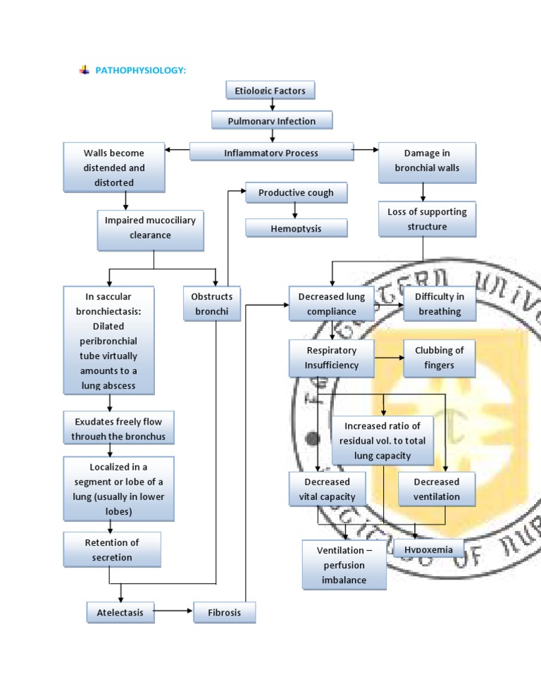 Bronchiectasis Pathophysiology Download Free Pdf Lung Epidemiology