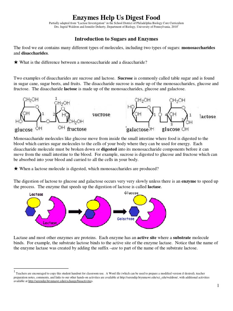 Enzyme Protocol | Download Free PDF | Milk | Carbohydrates
