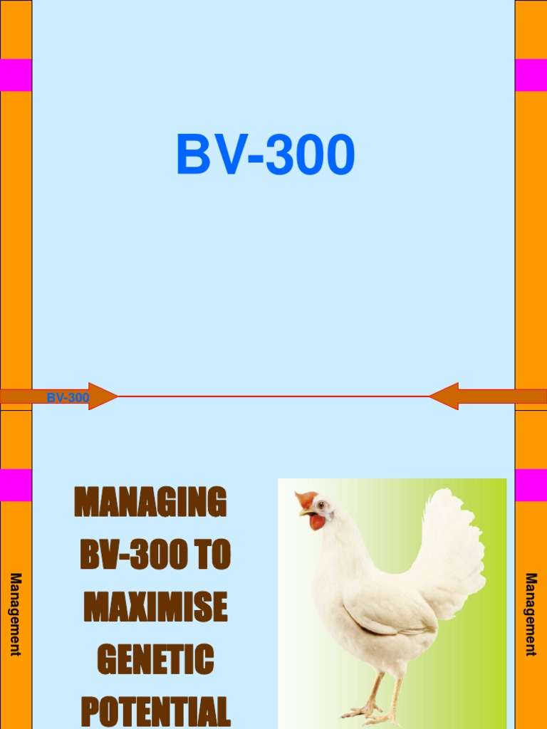 BV 300 Management | Download Free PDF | Beak | Agriculture