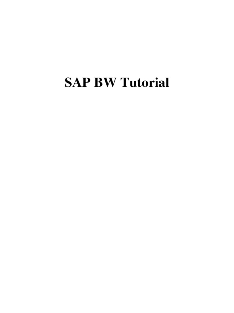 Sap BW Tutorial | Download Free PDF | Information Technology Management ...