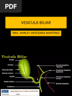 Vesícula en Porcelana y Signo de WES | PDF | Ciencia y matemáticas