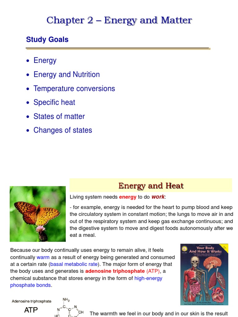 Chapter 2 - Energy and Matter | PDF | Evaporation | Properties Of Water