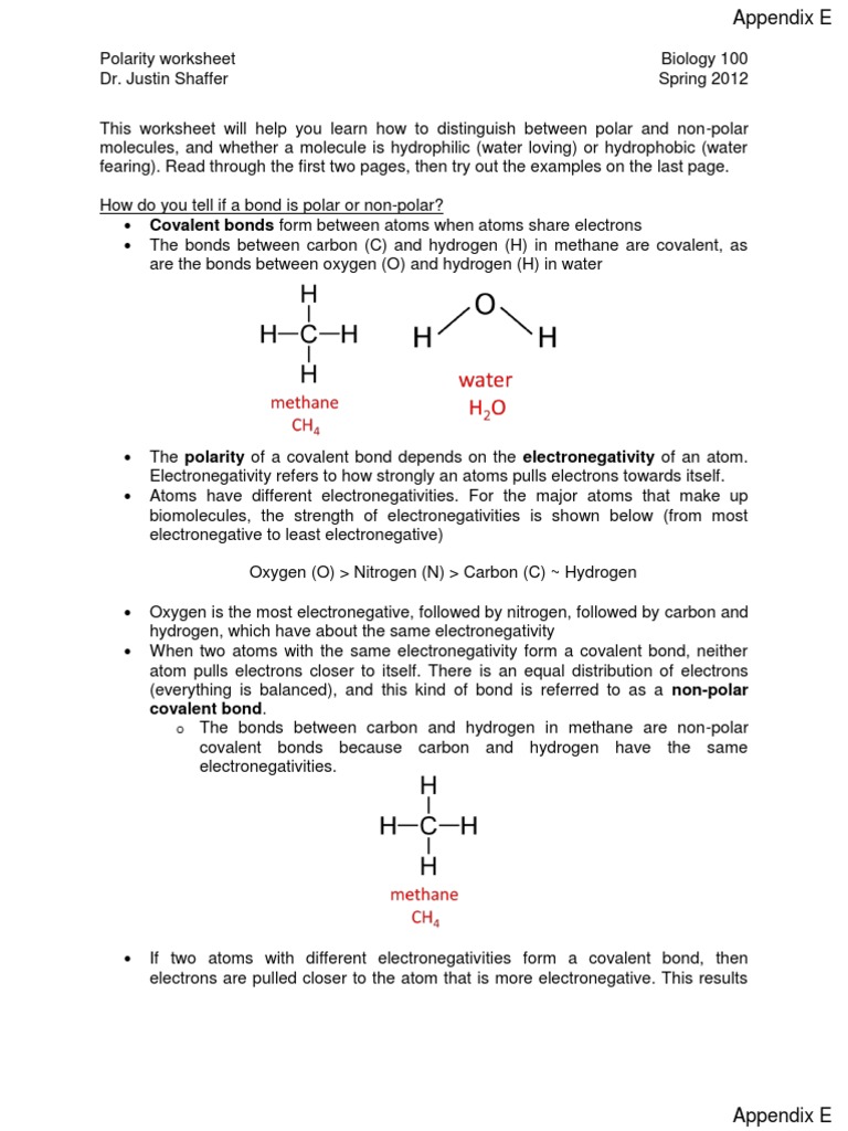 Appendix E - Polarity Worksheet | PDF | Chemical Polarity | Chemical Bond