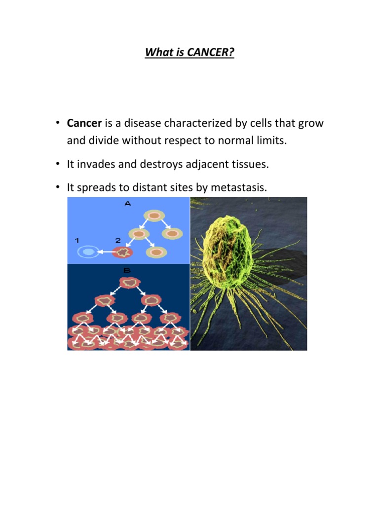 What Is Cancer | PDF | Lung Cancer | Cancer