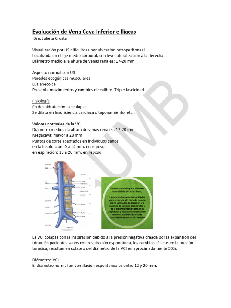 21 Vena Cava Inferior y Venas Abdominales | PDF | Vena | Trombosis