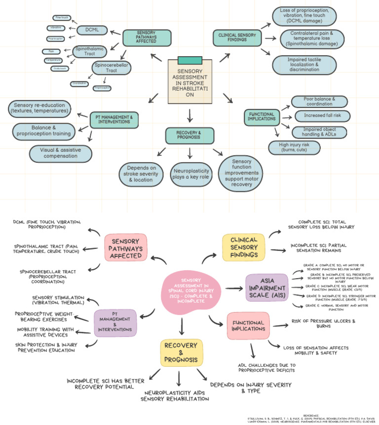 Sensory Assessment Mind Mapping | PDF | Spinal Cord Injury ...