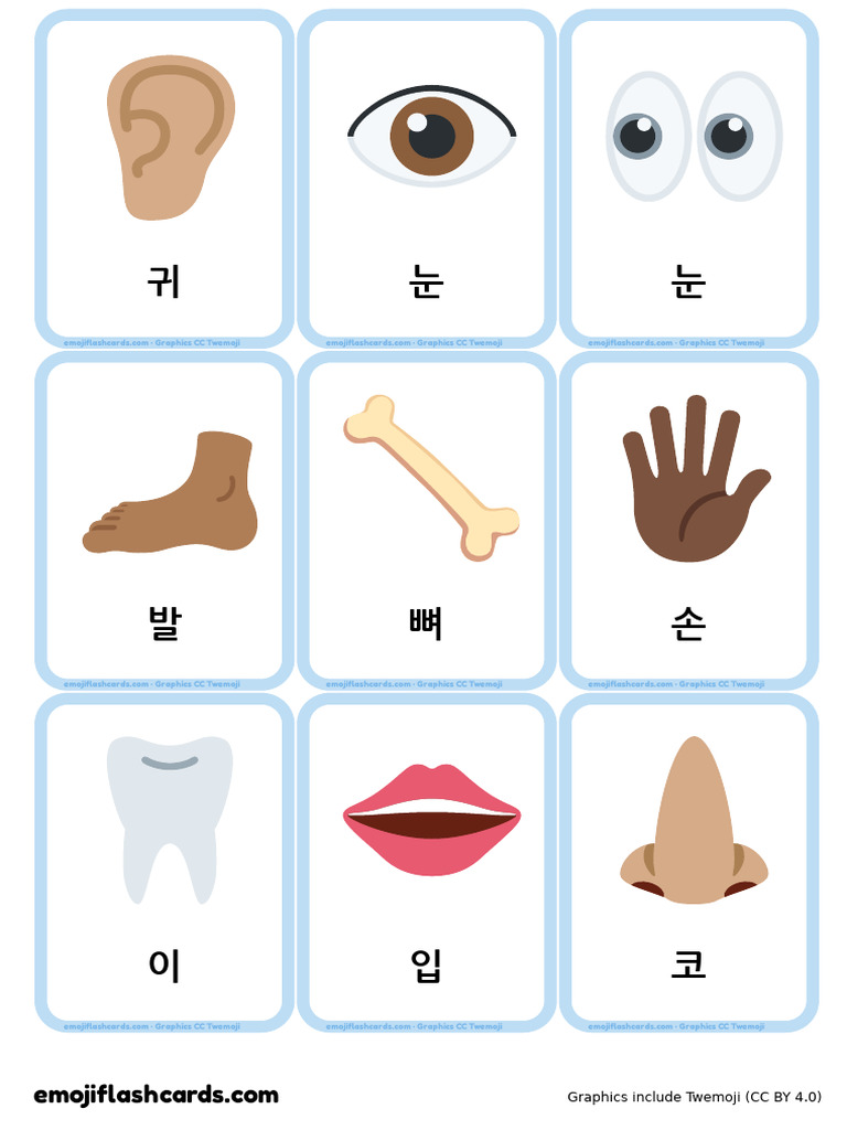 Korean Parts of The Body Small A4 Flashcards | PDF