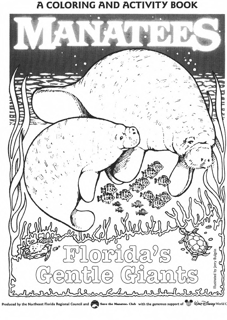 Coloring Book | PDF | Foreign Language Studies
