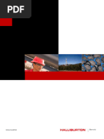 BaraECD and BaraXcel Systems | PDF | Oil Well | Petroleum Reservoir