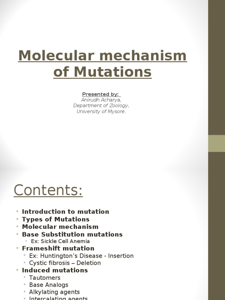 Molecular Mechanism of Mutations | PDF | Mutation | Point Mutation