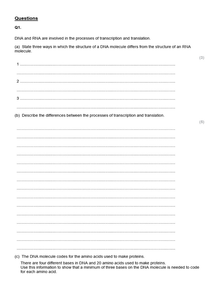 DNA, RNA and Protein Synthesis Exam Qs and MS | PDF