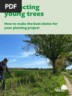 NJUG Tree Protection Guidelines 2025 | PDF | Trees | Root