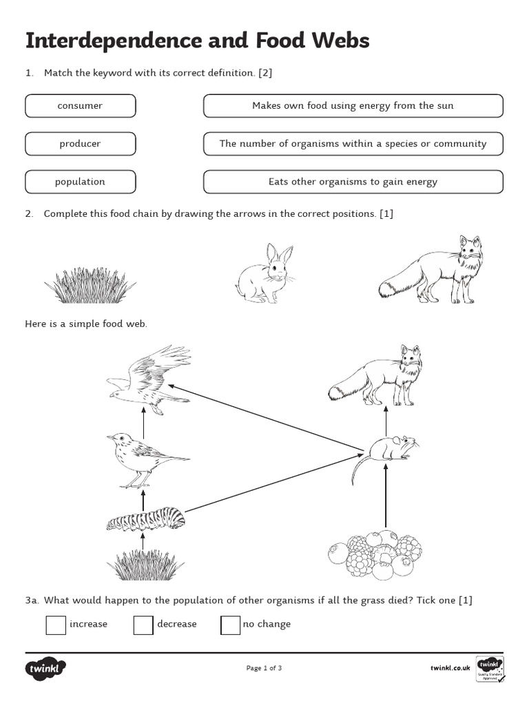 Interdependence and Food Webs Homework Activity Sheet - Answers | PDF ...