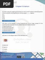 PA Axial Caldwell Method Overview | PDF | Skull | Radiography