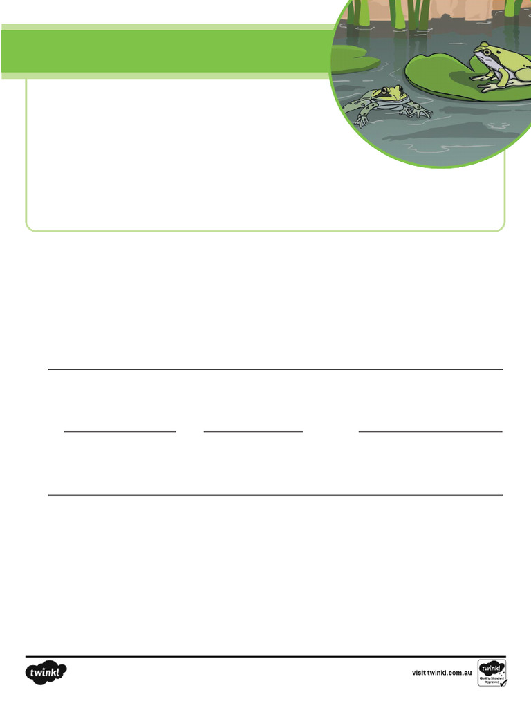 BOb The Frog Comprehension | PDF