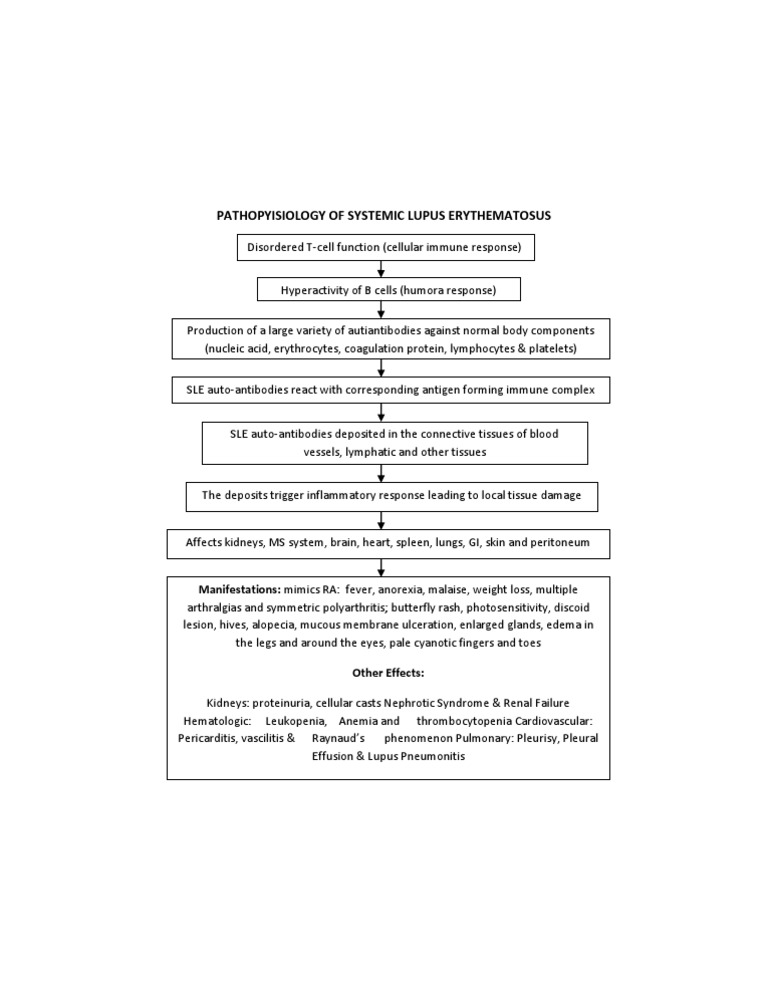 Pathopysiology of Sle | PDF | Systemic Lupus Erythematosus | Medical ...