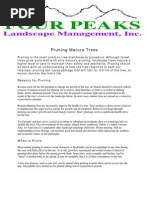 As 4373-2007 Pruning of Amenity Trees | PDF | Pruning | Plants