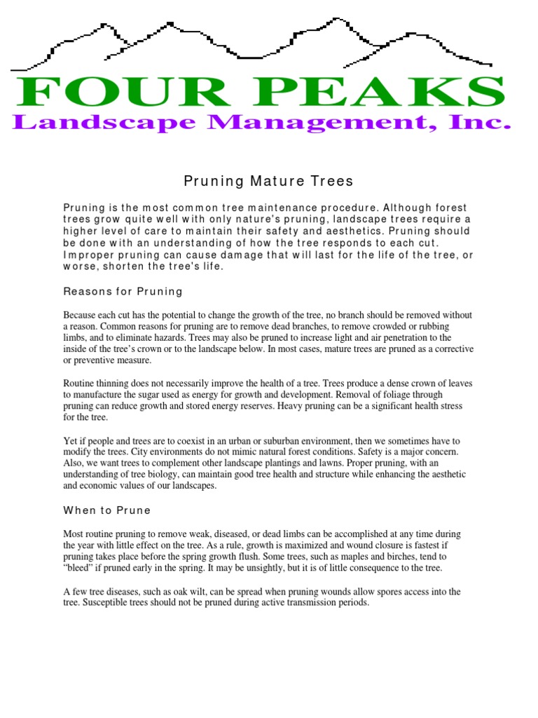 Pruning Mature Trees Pdf Pruning Trees