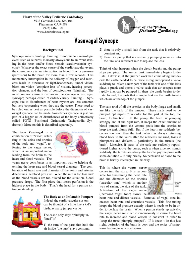 Vasovagal Syncope 3.0 | PDF | Vagus Nerve | Medicine